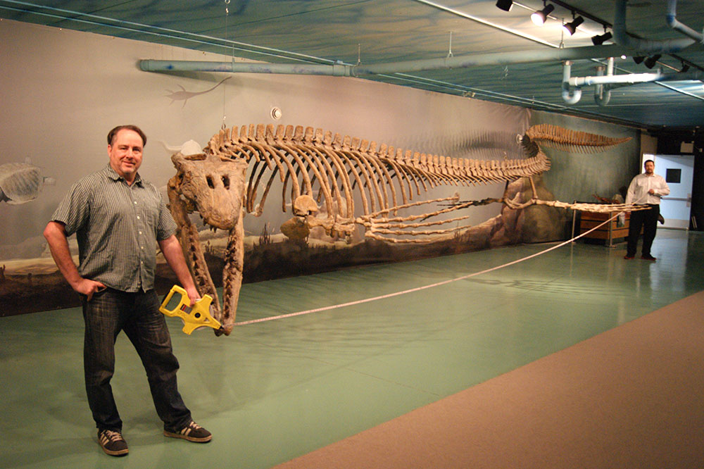 Largest mosasaur on display | 吉尼斯世界纪录