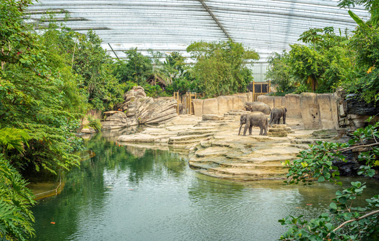Largest indoor rainforest in a zoo | 吉尼斯世界纪录