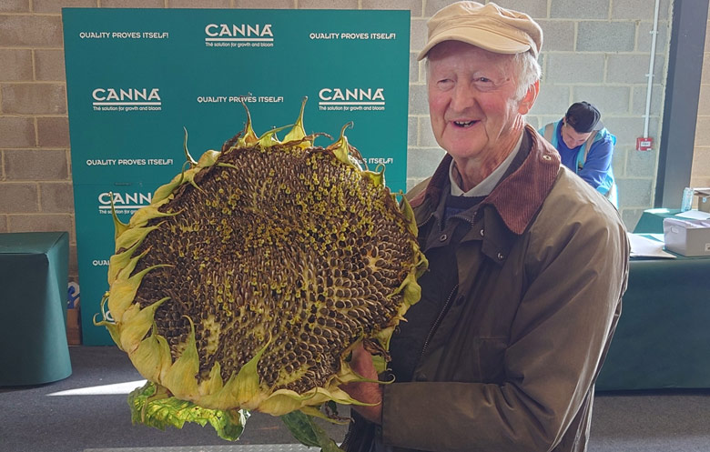 Heaviest sunflower head | 吉尼斯世界纪录