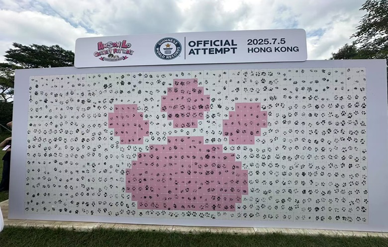 Largest display of dog paw prints | 吉尼斯世界纪录