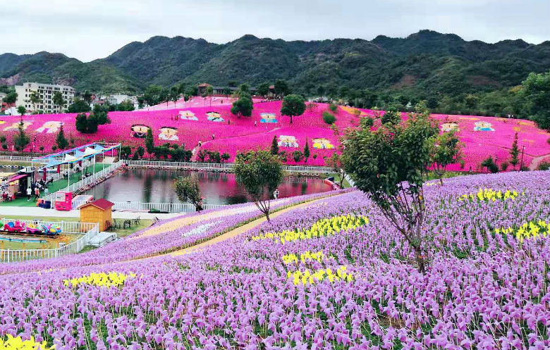 Largest pinwheel display | 吉尼斯世界纪录