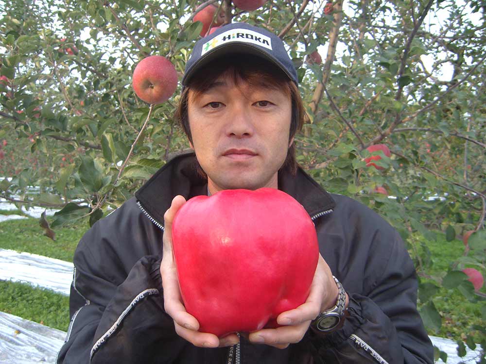Heaviest apple | 吉尼斯世界纪录