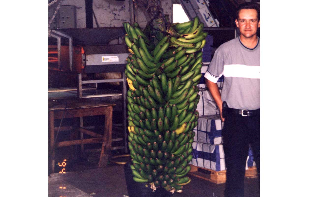 Largest bunch of bananas | 吉尼斯世界纪录